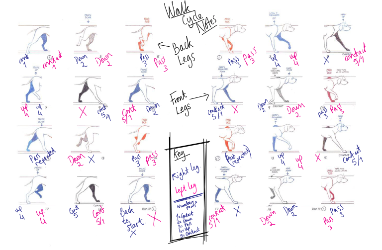 Week 8 – Walk and Run Animation Cycle – Advanced Experimental Animation ...